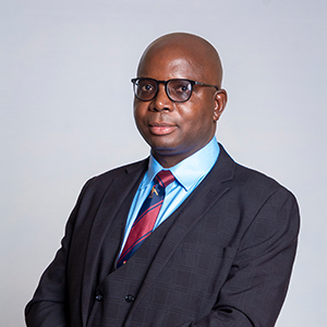 The Institute - Chartered Governance and Accountancy Institute in Zimbabwe